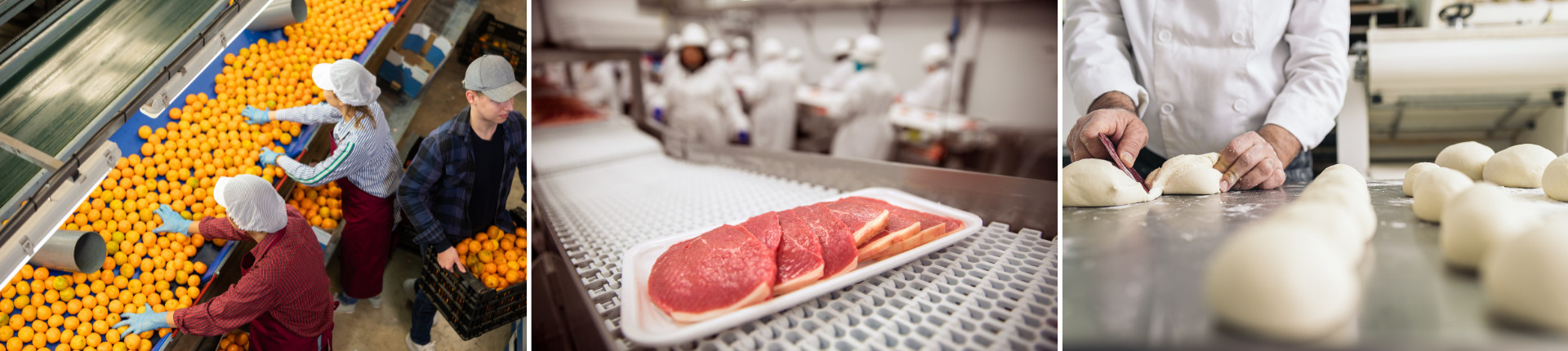 Cleaner Air, Safer Food: New Food-Grade Air Cleaner Sets New Standard ...